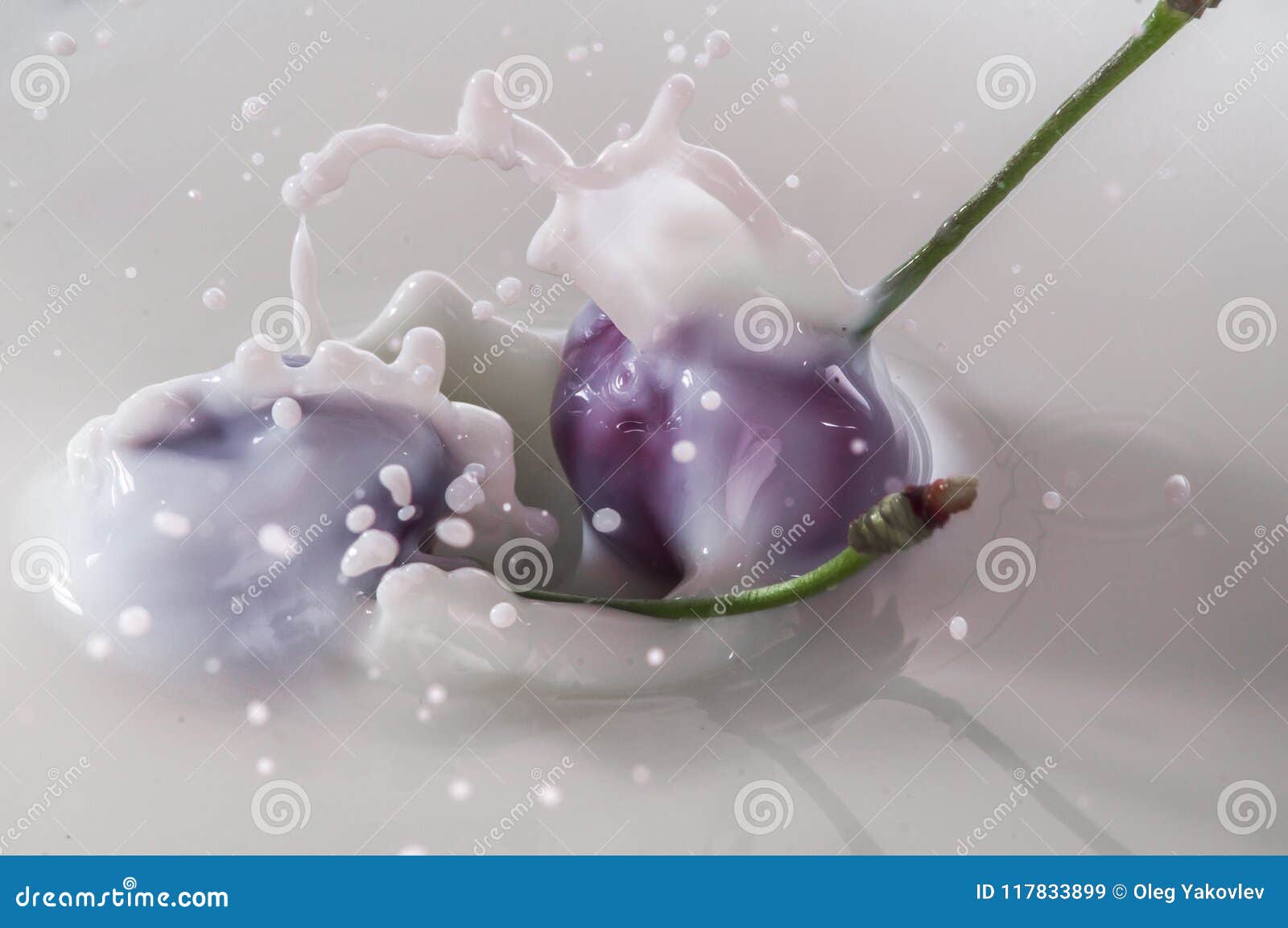 Falling cherry into milk stock image. Image of yellow - 117833899