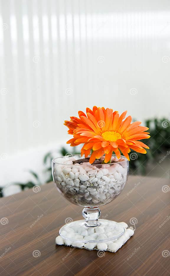 Pure flower stock photo. Image of decoration, floral - 14722436