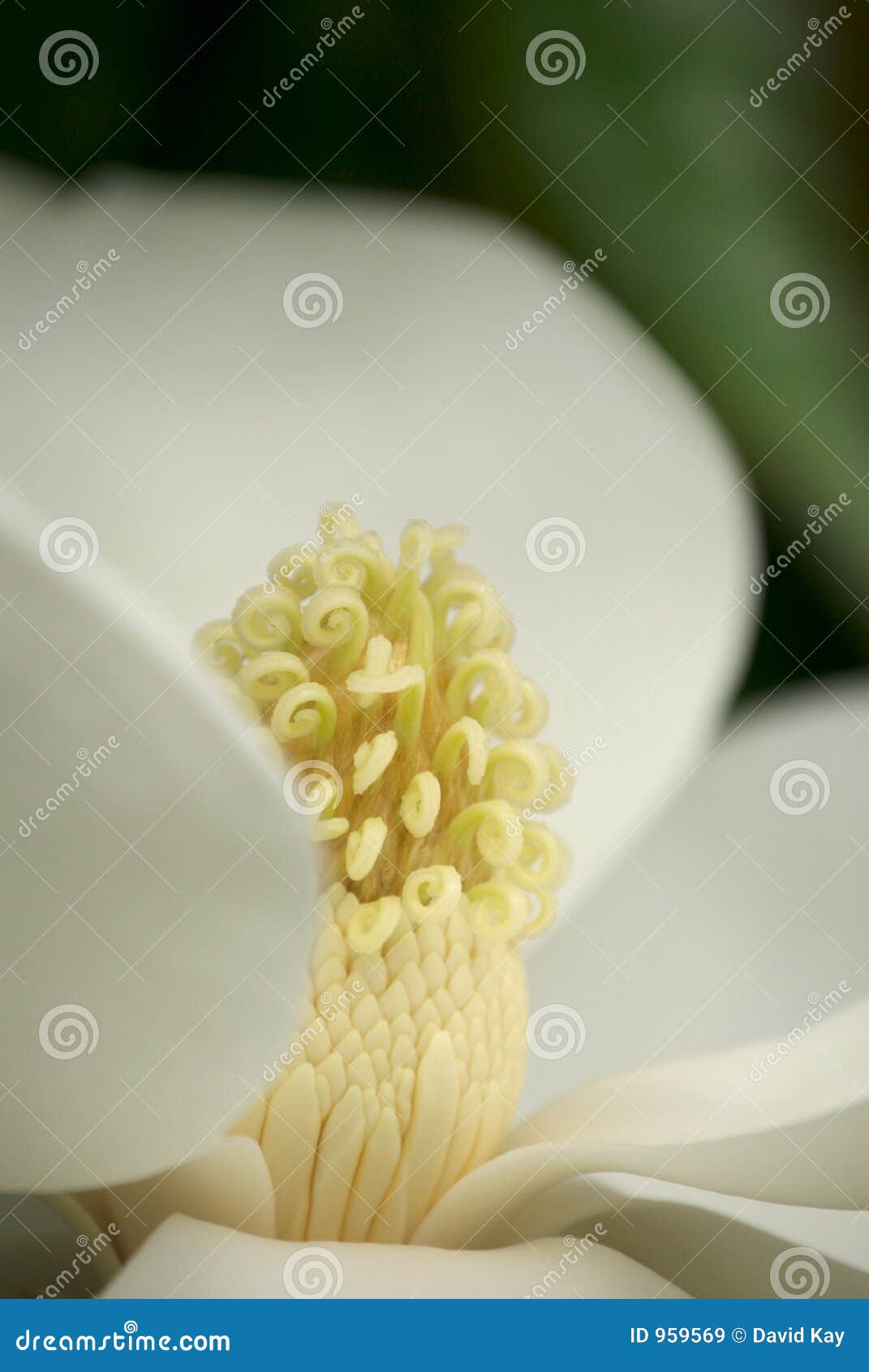 766 Pure Forms Stock Photos - Free & Royalty-Free Stock Photos from ...