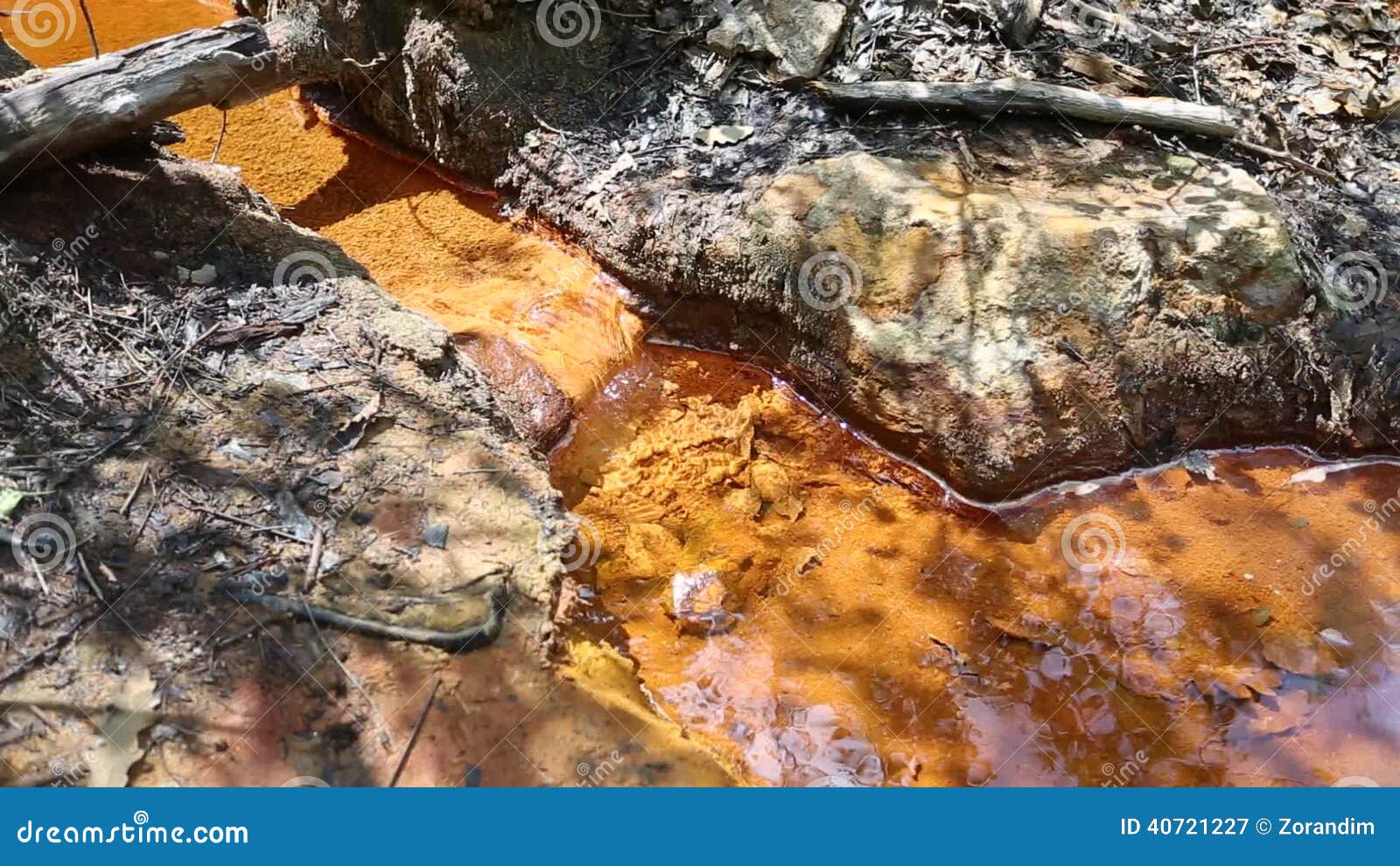 Pure Fresh Water Waterfall in Forest Stock Video - Video of flood, pure ...