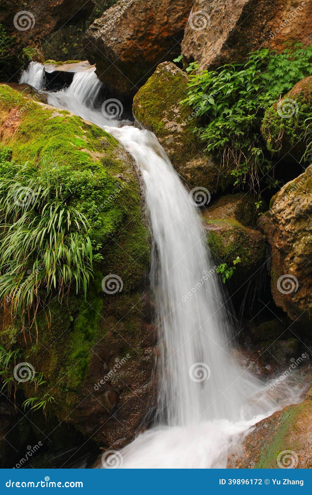 Pure Fresh Water Waterfall Running Over Mossy Rocks in the Forest Stock ...