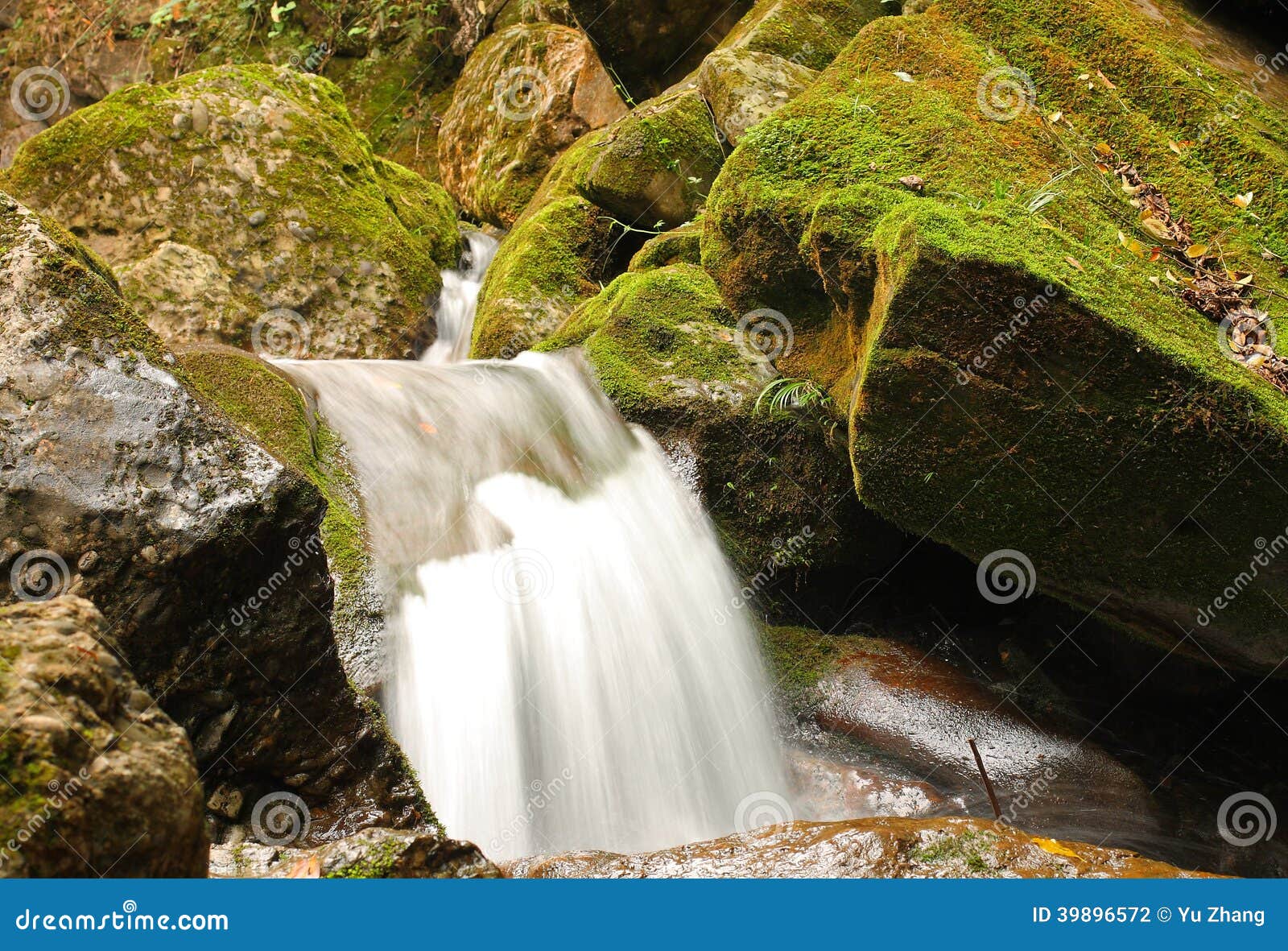Pure Fresh Water Waterfall Running Over Mossy Rocks in the Forest Stock ...