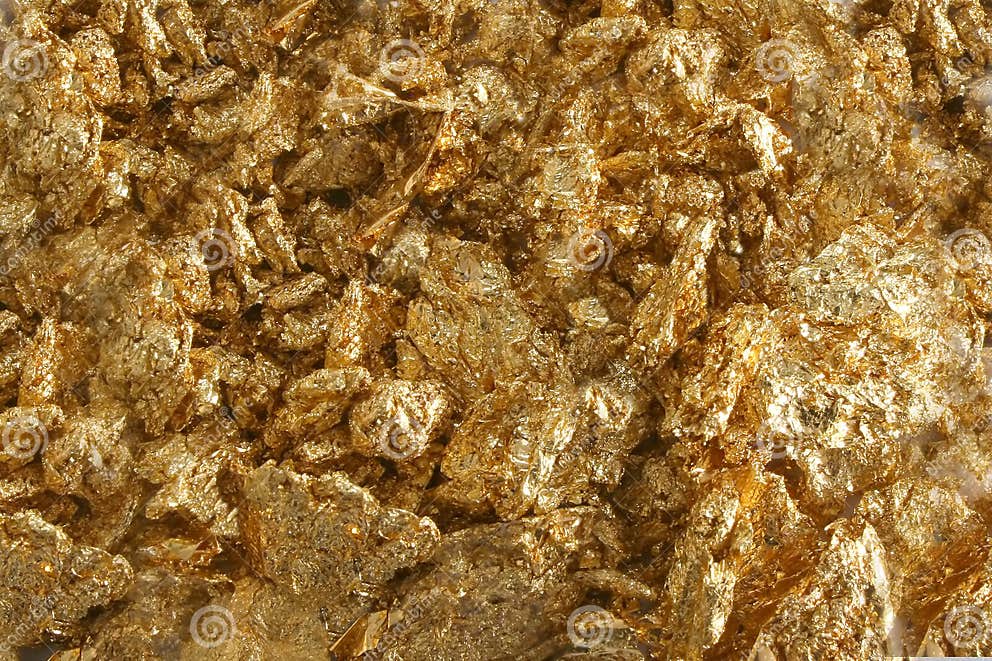 Pure Gold Pieces stock photo. Image of hunks, precious - 11884002