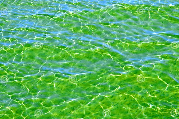 Pure green water stock image. Image of pure, clear, wave - 27902113