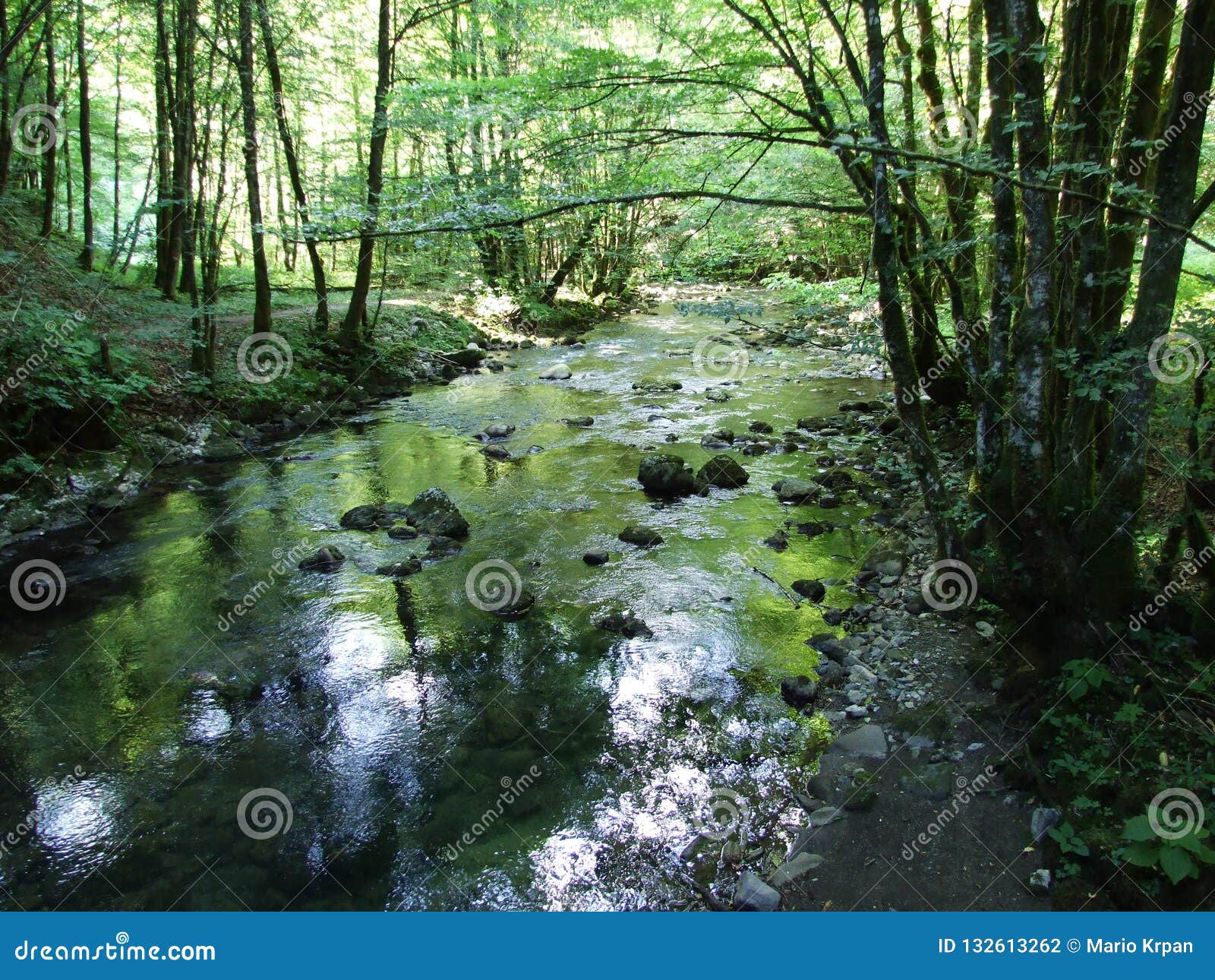 The pure mountain river stock photo. Image of outdoor - 132613262