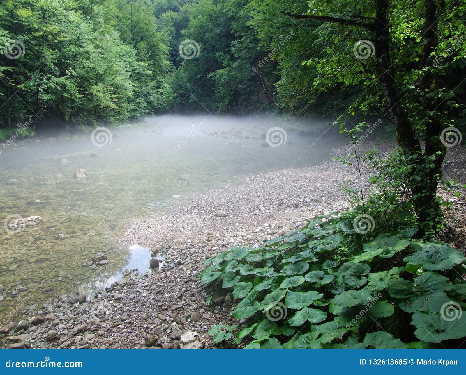 The Pure Mountain River Flows Smoothly Stock Image - Image of pure ...