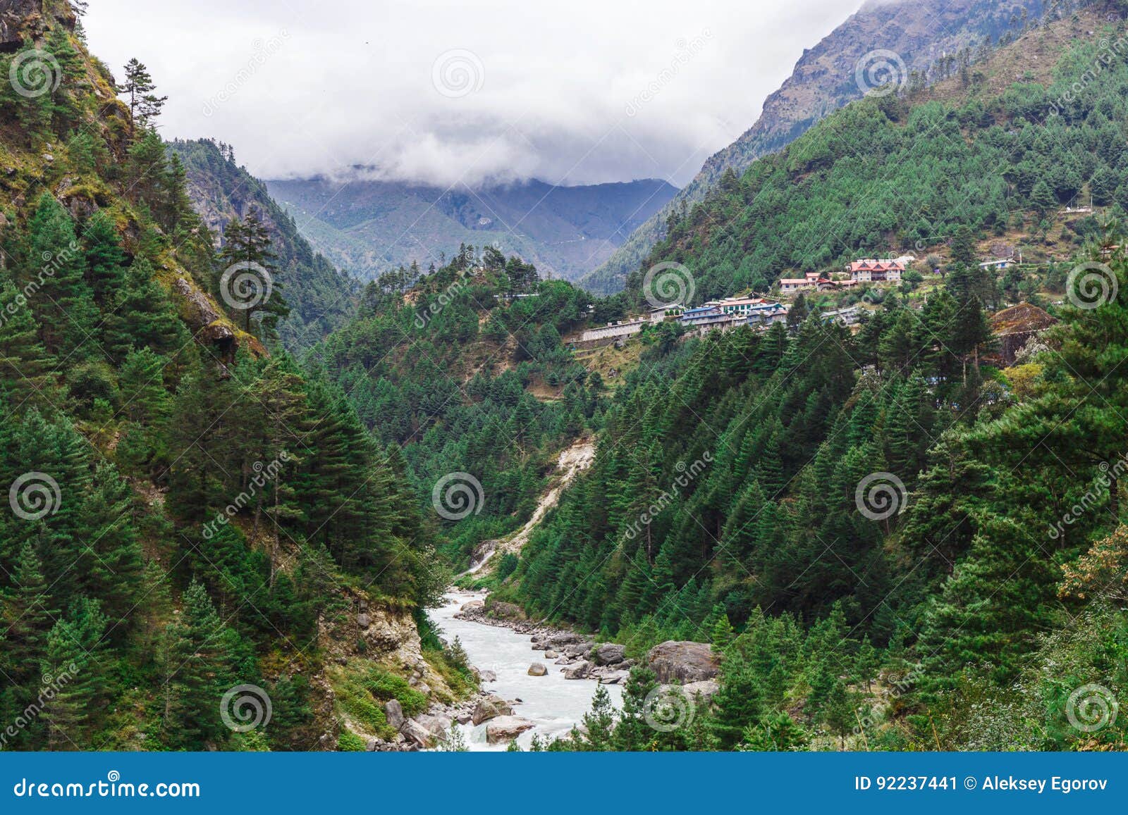 Pure mountain river stock image. Image of outdoor, meadow - 92237441