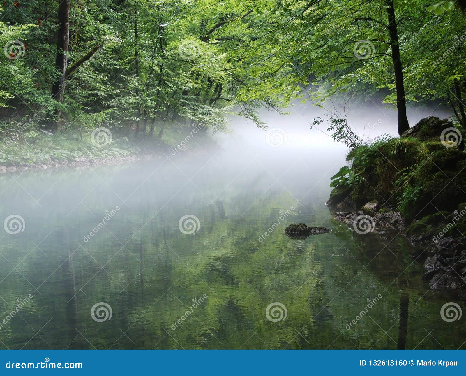 The pure mountain river stock photo. Image of beauty - 132613160