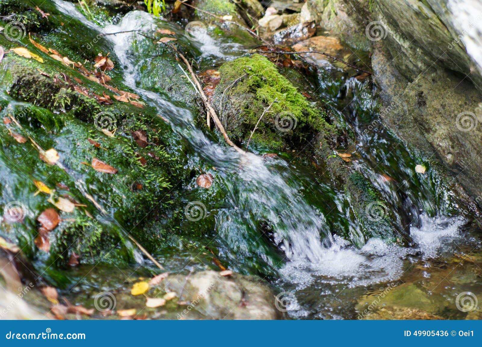Pure Mountain Spring Flows among Stones Covered with Moss Stock Photo ...