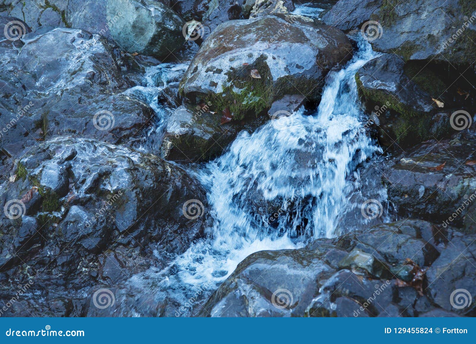 Pure Natural Source of Drinking Water Stock Photo - Image of waterfall ...
