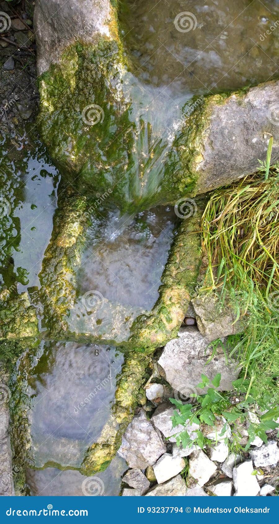 Pure natural water source stock photo. Image of cleanliness - 93237794