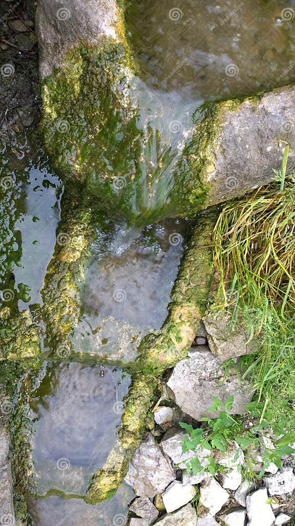 Pure natural water source stock photo. Image of cleanliness - 93237794