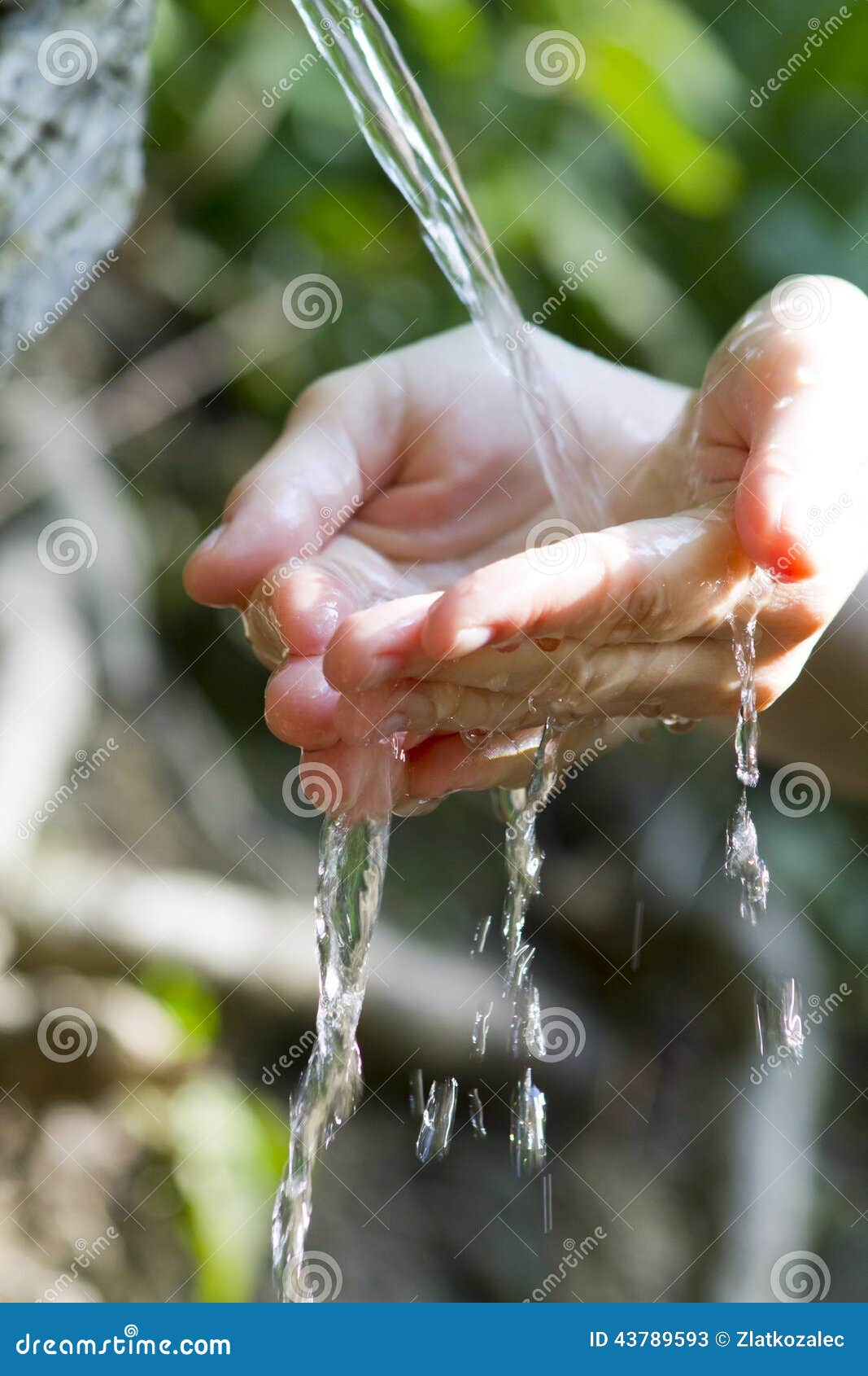 Pure natural water source stock image. Image of freshness - 43789593