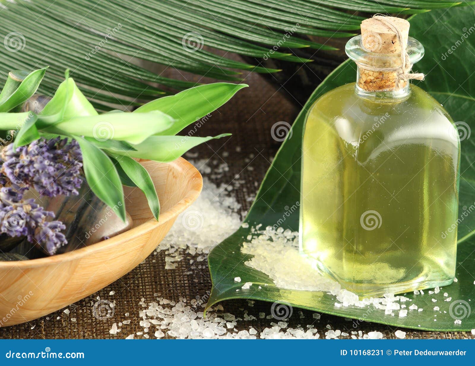 Pure nature stock image. Image of supplies, rock, alternative - 10168231