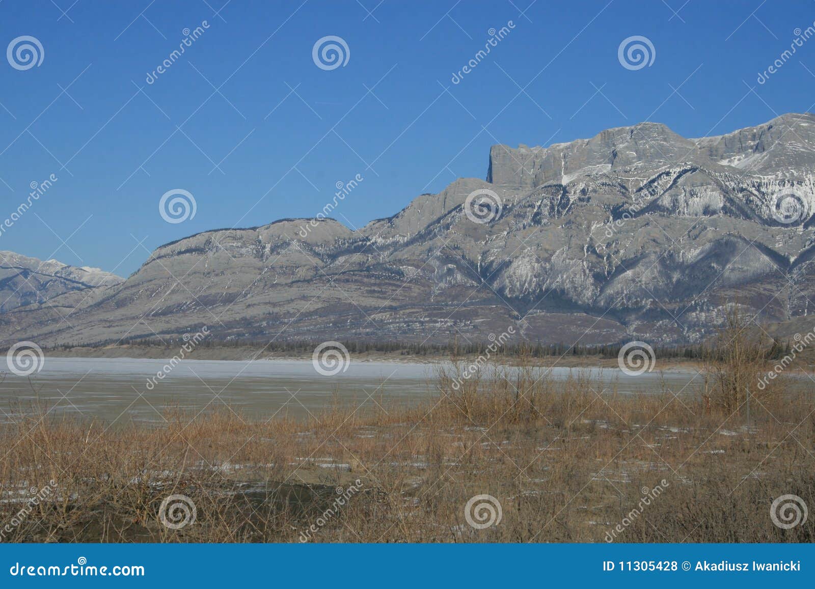 Pure nature in Canada stock photo. Image of nature, cold - 11305428