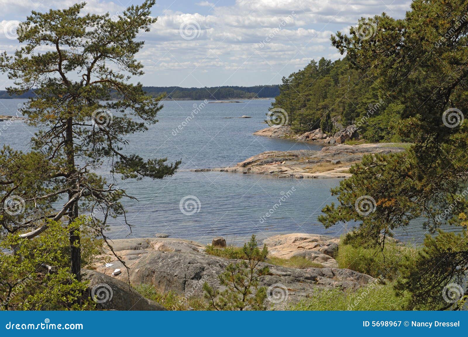 Pure nature in sweden stock image. Image of norge, explore - 5698967