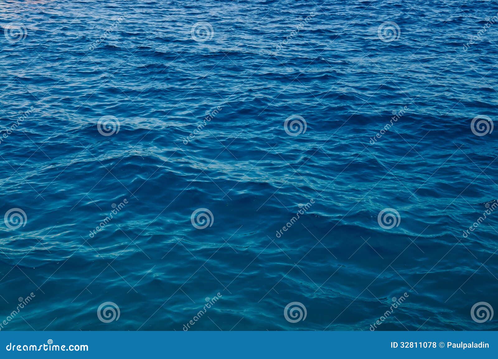 Pure sea water stock photo. Image of clear, purity, life - 32811078