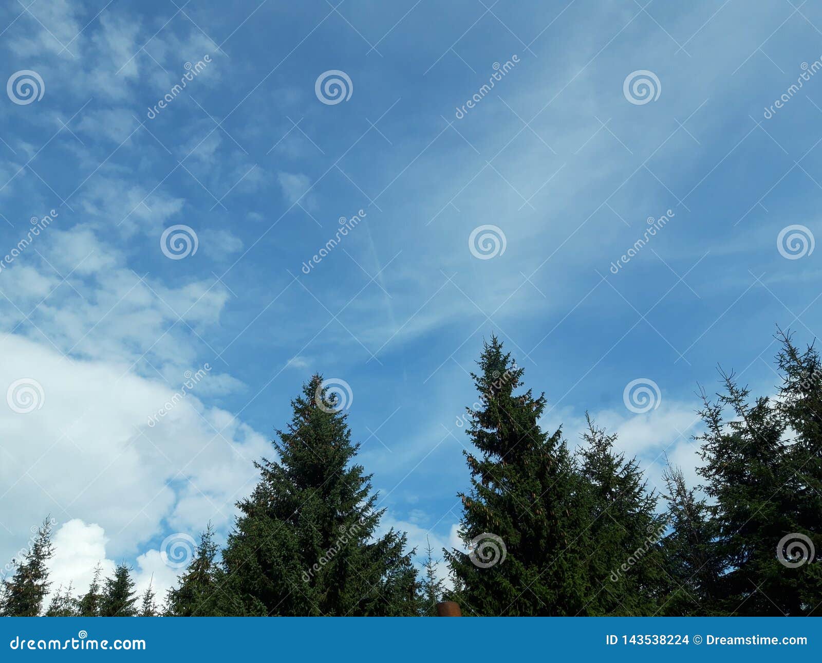 Pure. stock photo. Image of blue, pure, trees, clouds - 143538224