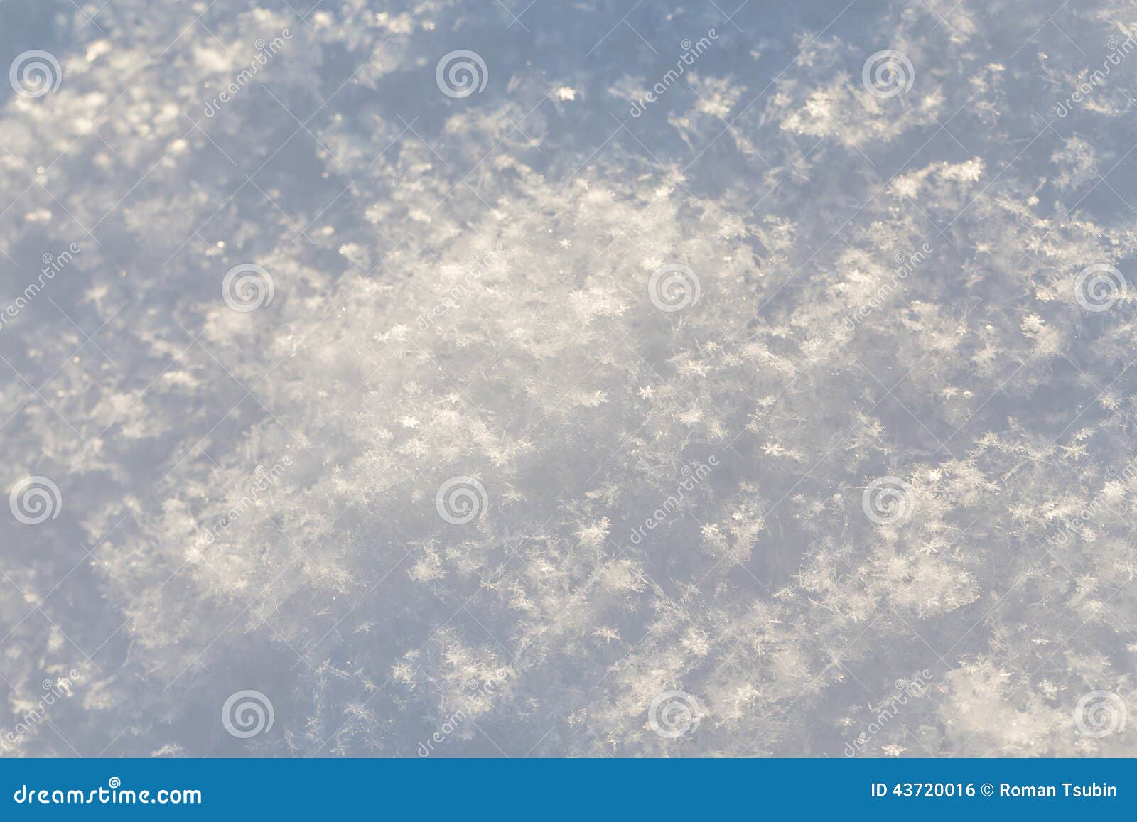 Pure snow texture stock photo. Image of detail, beautiful - 43720016