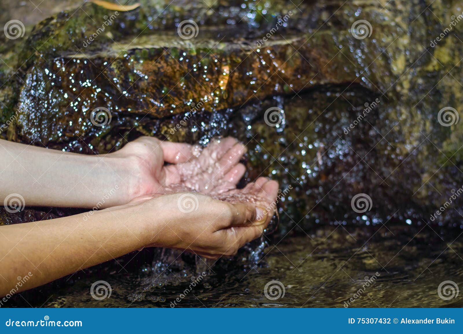 Pure Spring Water Fills the Palm of Your Hand Stock Photo - Image of ...