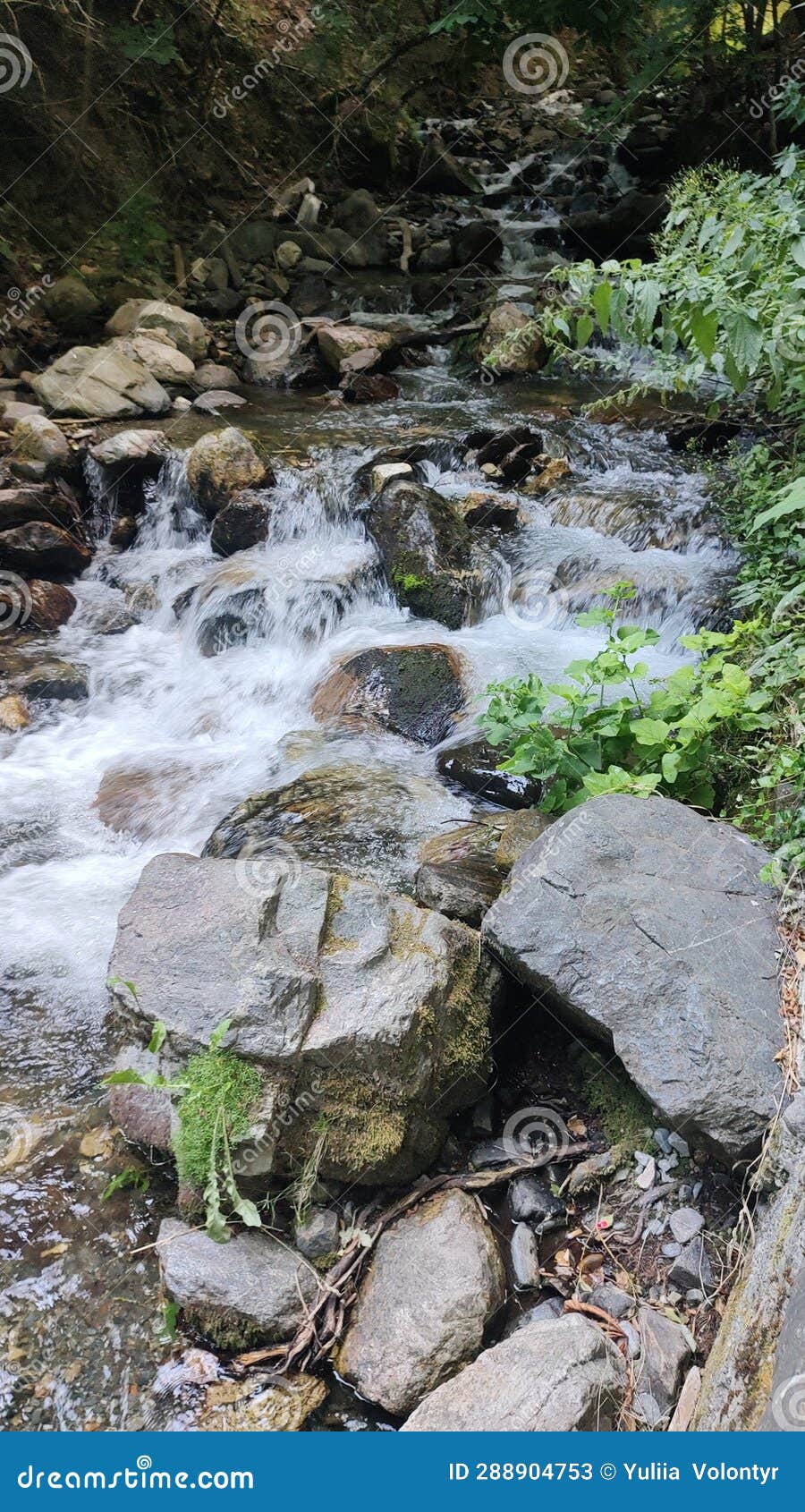 Pure spring water stock image. Image of landscape, autumn - 288904753