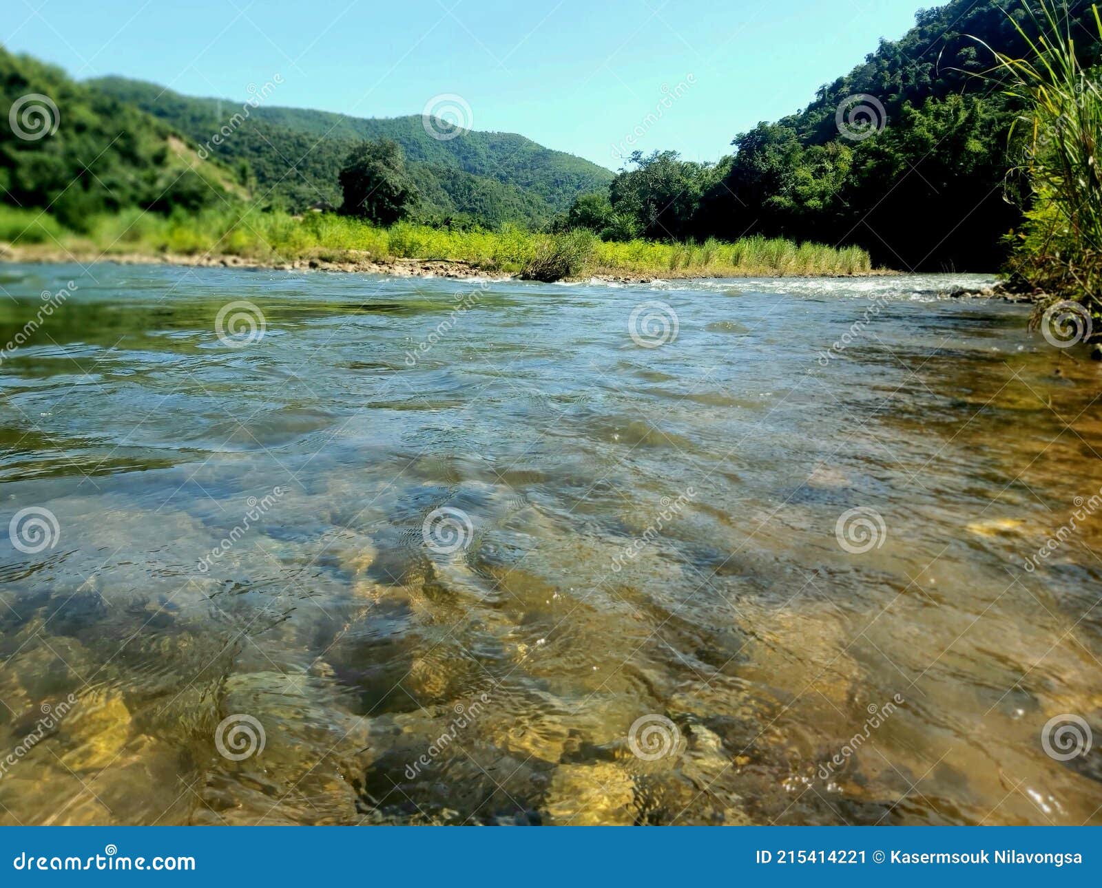 Pure Stream in laos stock image. Image of coast, wilderness - 215414221