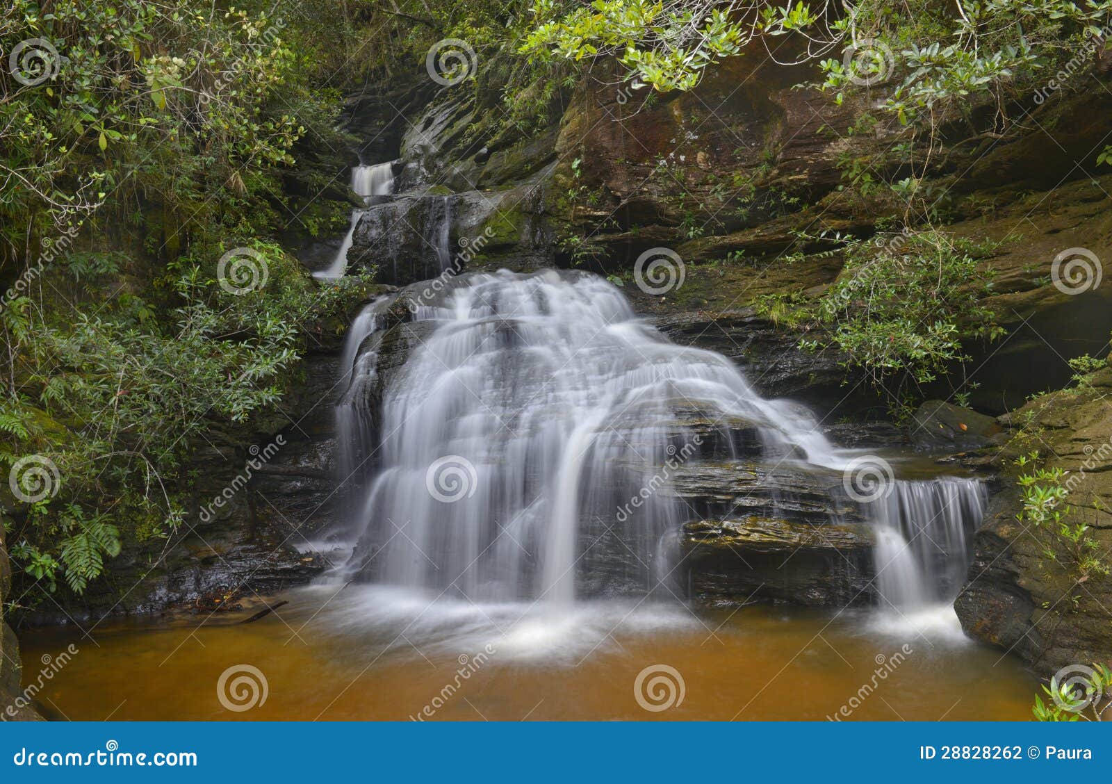 Pure Water stock photo. Image of stream, jungle, river - 28828262