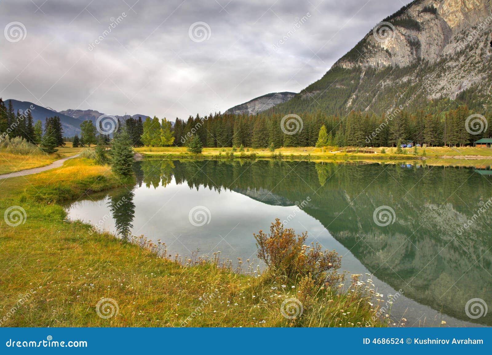 Pure water. stock photo. Image of forest, morning, peak - 4686524
