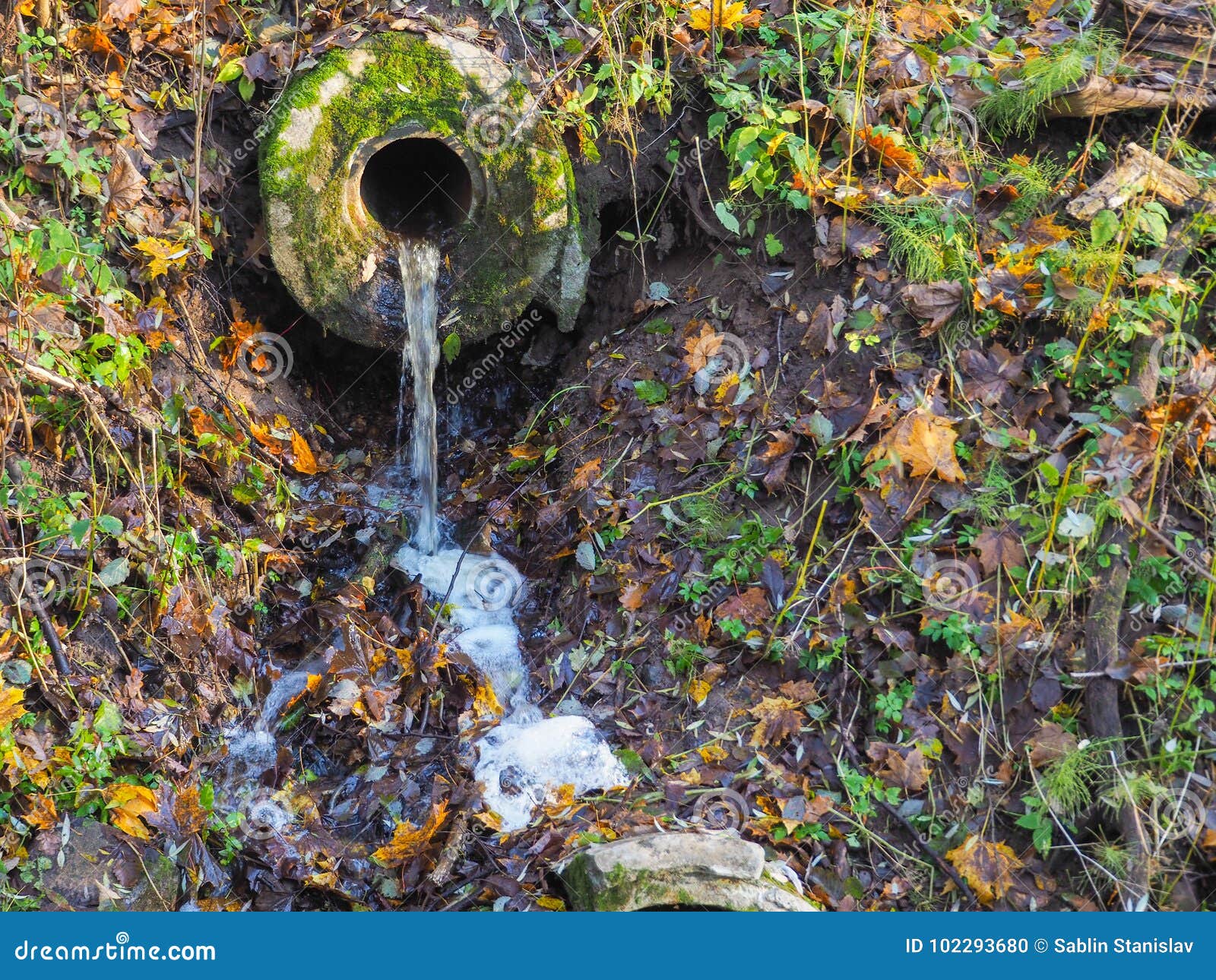 Pure Water Flows from a Spring in the Nature. Stock Photo - Image of ...