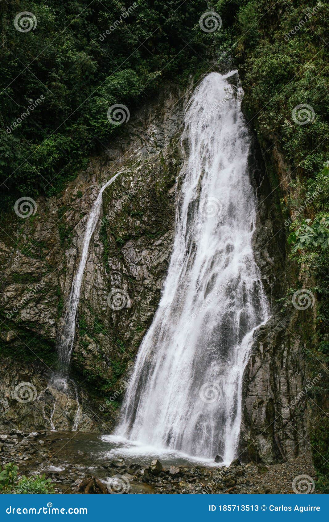Pure Water Source, Waterfall in the Middle of the Jungle Stock Image ...