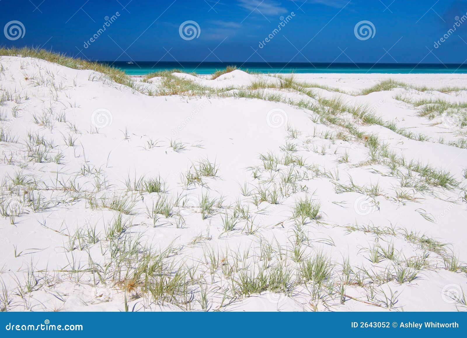 Pure white sand dunes stock photo. Image of australia - 2643052