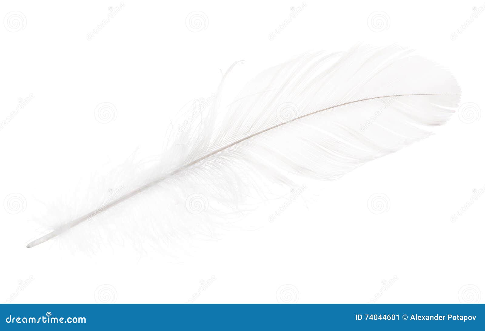 Pure white soft feather stock image. Image of abstract - 74044601