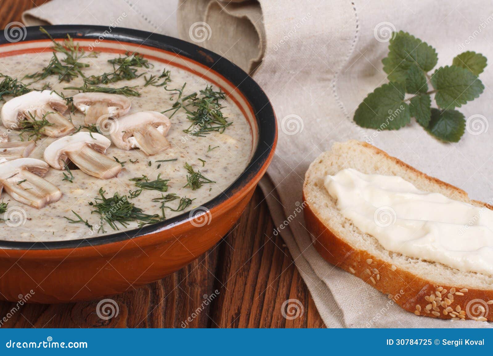 Puree Soup from Champignons Stock Image - Image of healthy, homemade ...