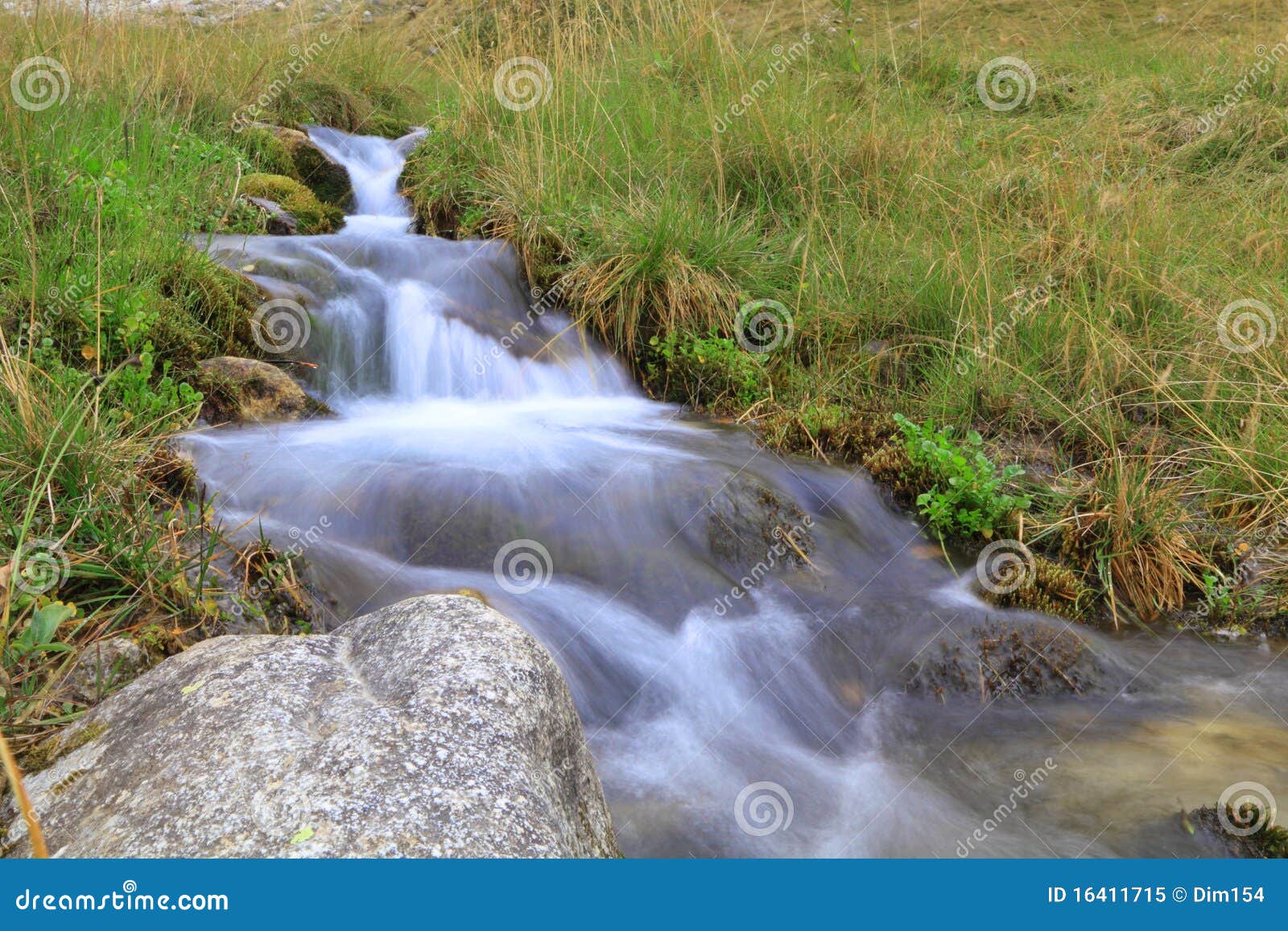 Purely Clean Mountain Stream Stock Image - Image of coolness, stream ...