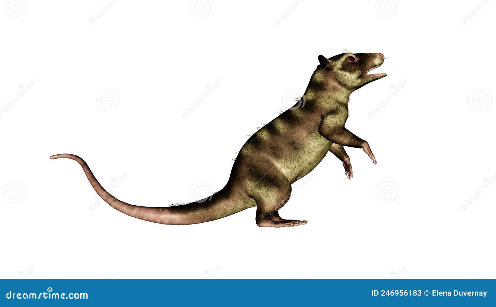 Purgatorius Cartoons, Illustrations & Vector Stock Images - 11 Pictures ...