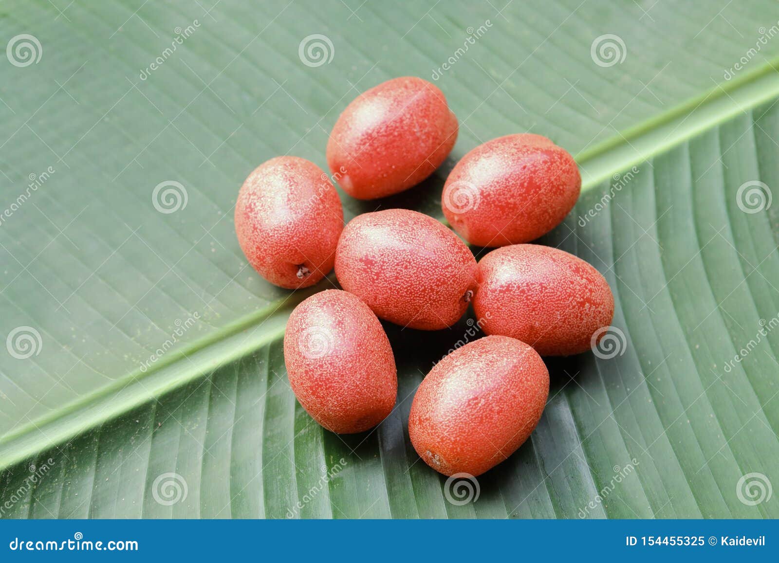 Purging Croton on Banana Leaf Stock Image - Image of colorful, dust ...