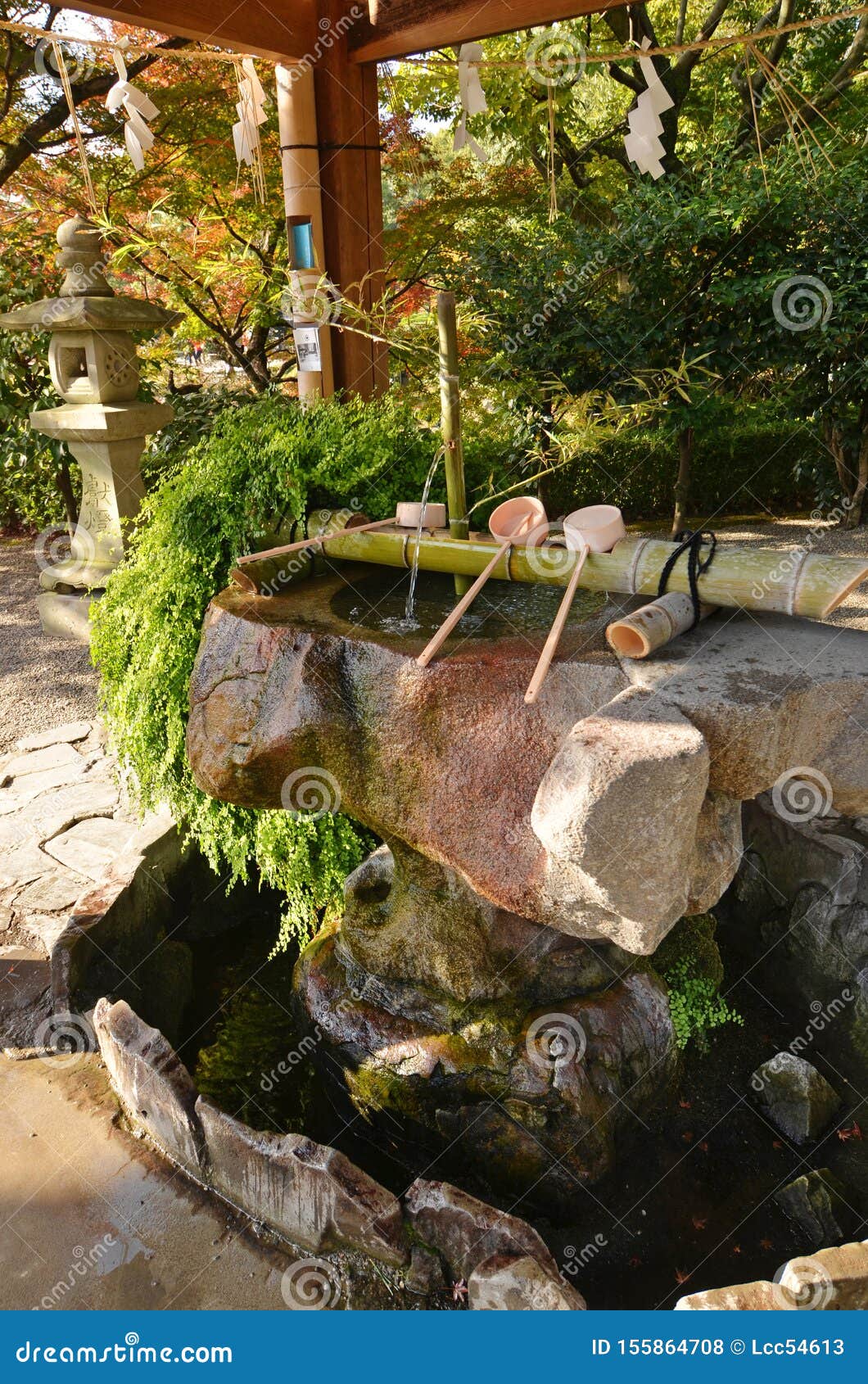 Shinto Shrine Purification Basin Stock Photo - Image of basin, bamboo ...