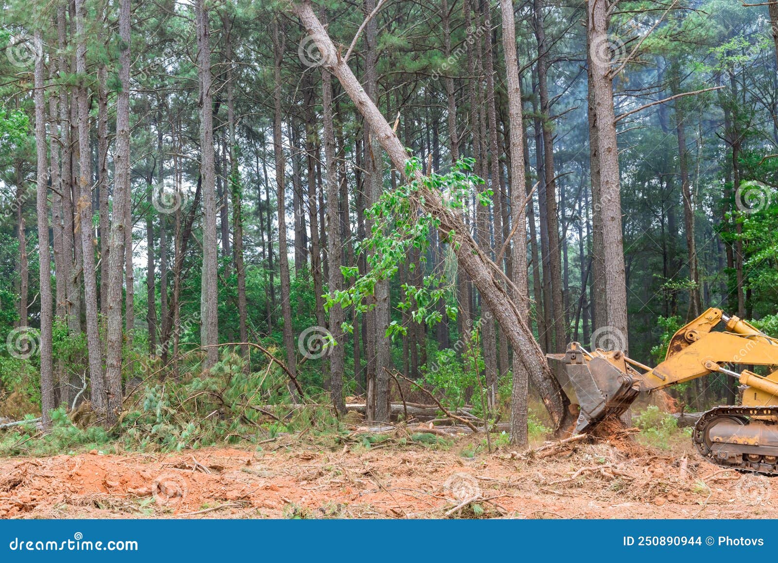 Houses In Deforestation On The Mountain Border Of Myanmar Stock ...