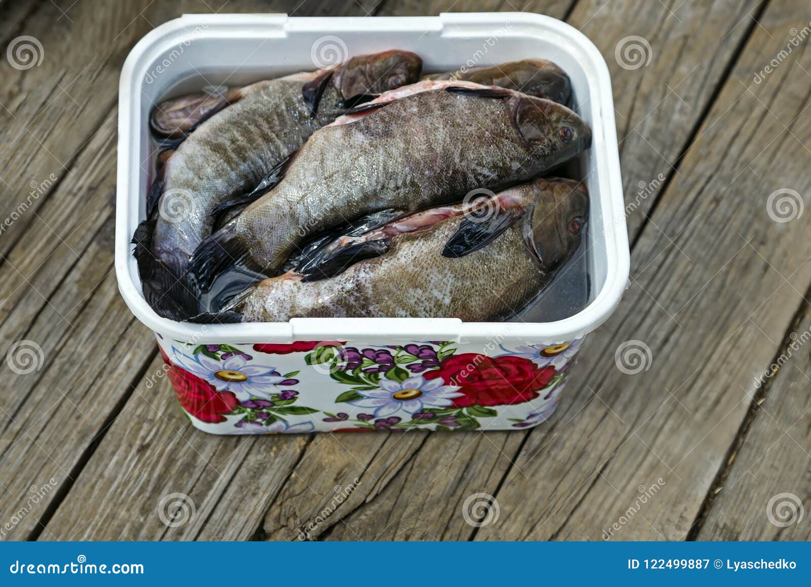 Purified Fresh Water Fish in the Container. Stock Image - Image of ...