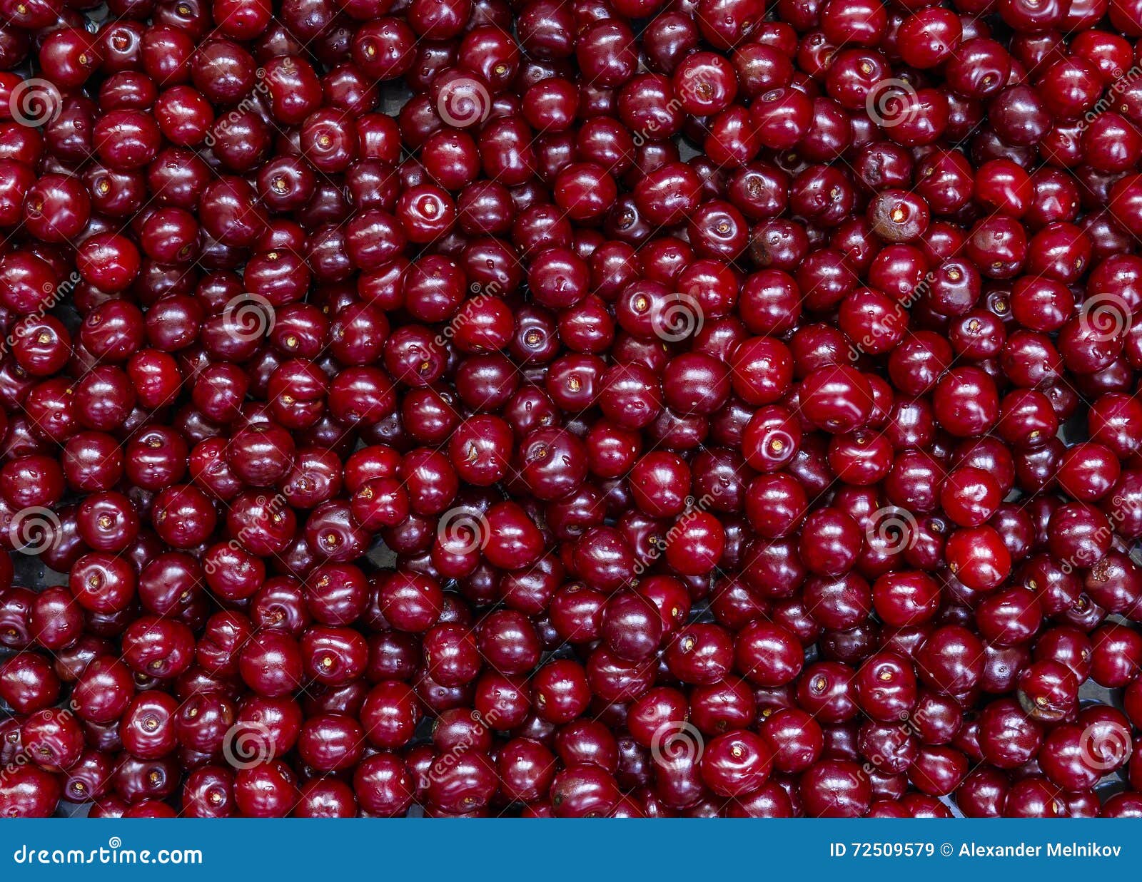 Purified and Washed Cherries in a Box Stock Image - Image of juicy ...