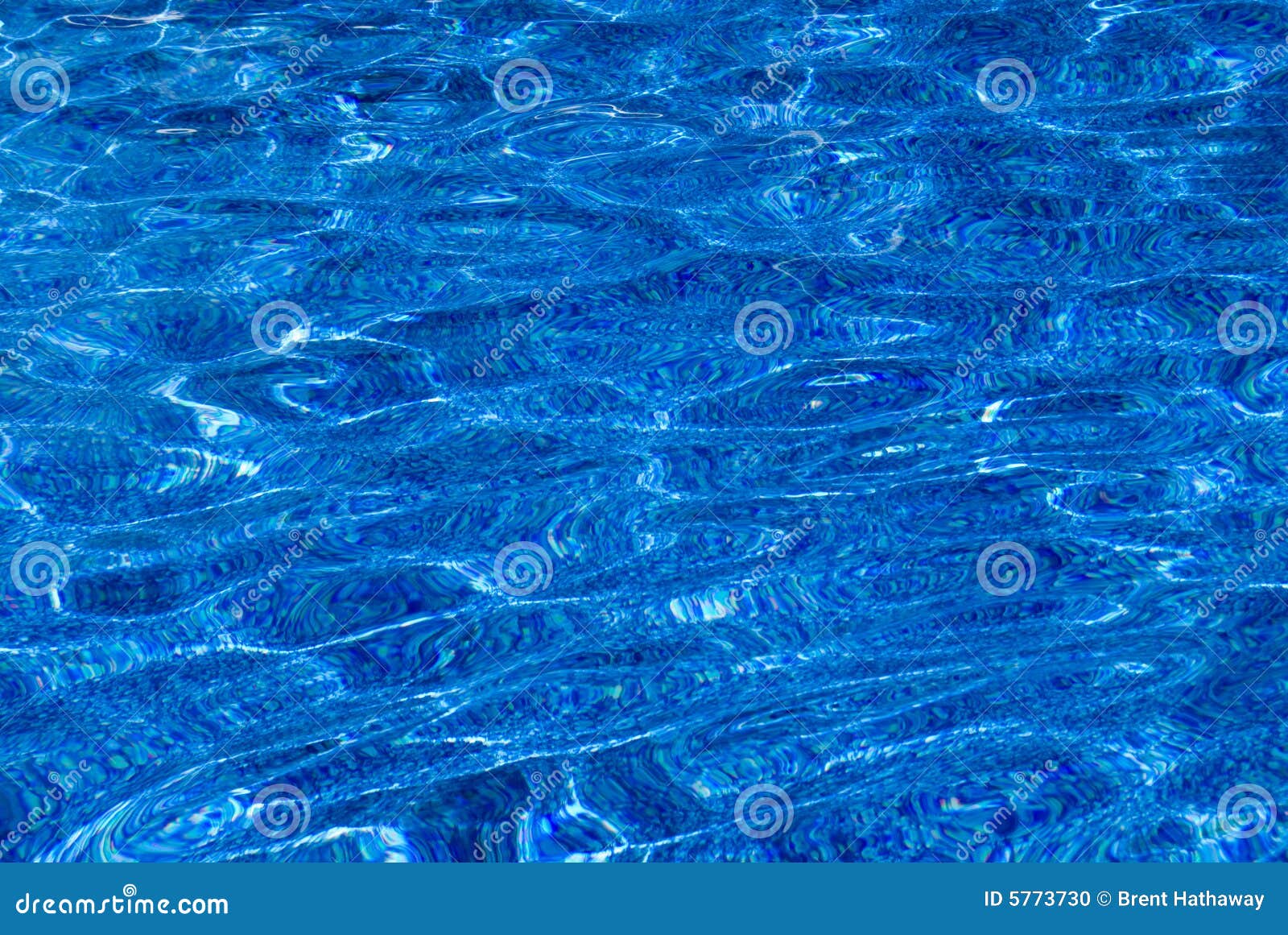 Purity stock photo. Image of bright, nature, textured - 5773730