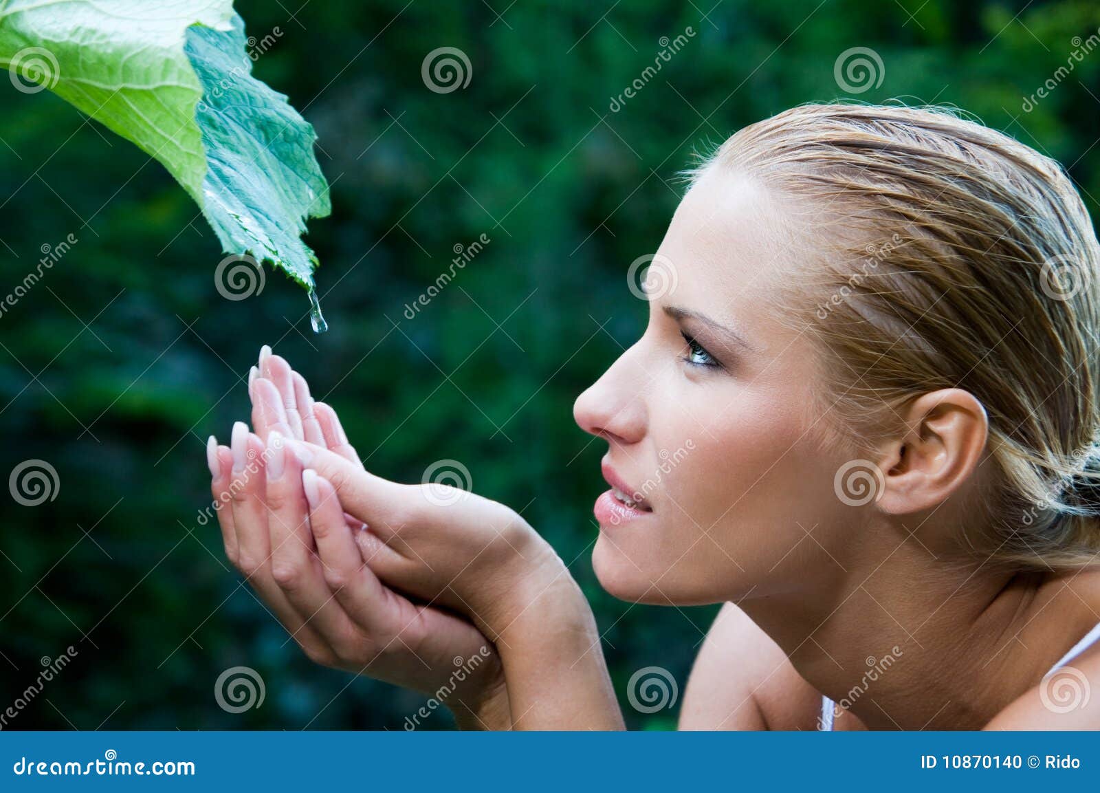Purity and nature harmony stock photo. Image of attractive - 10870140
