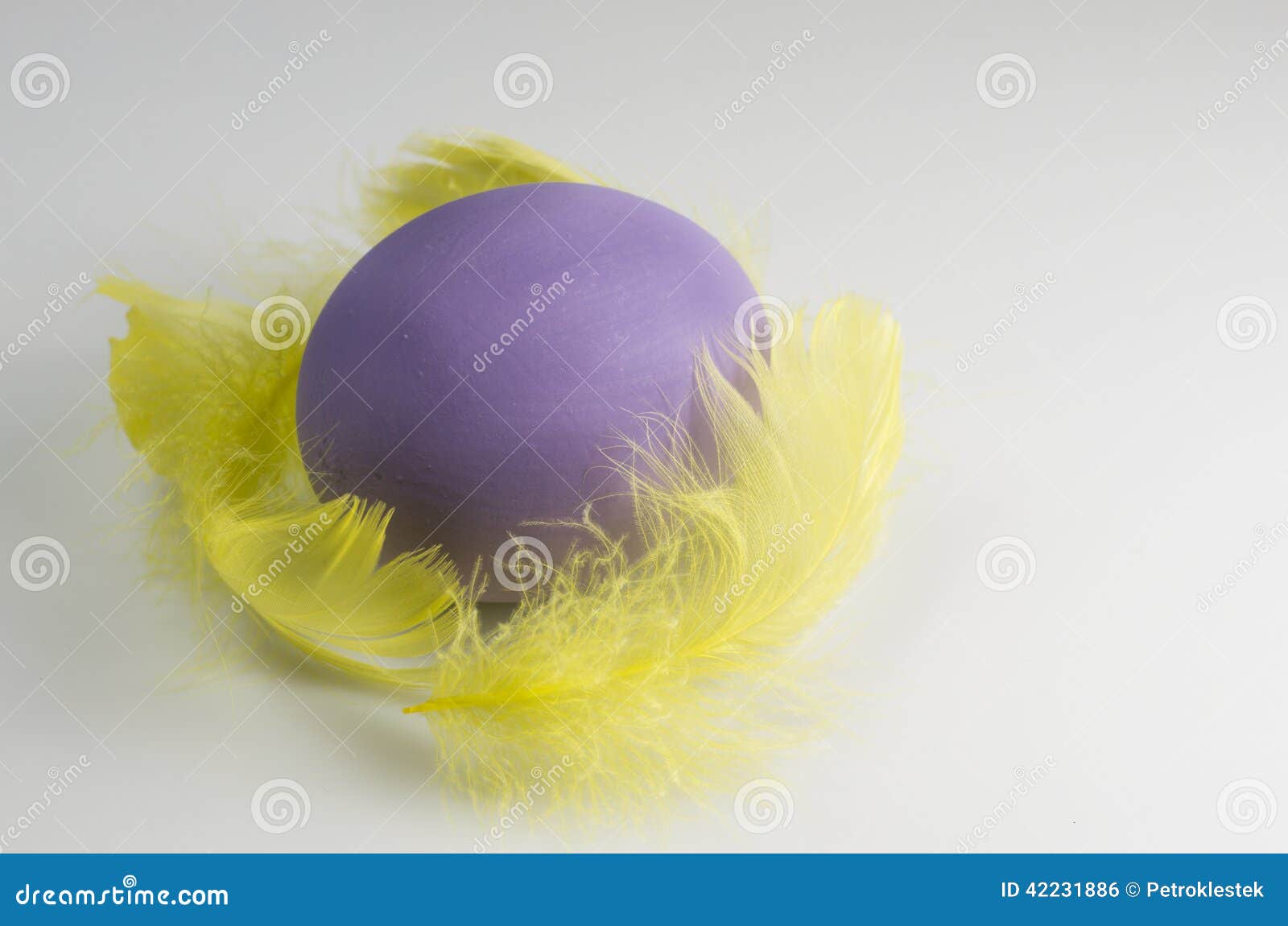 Purper Ei met gele pluim stock foto. Image of blad, heimelijk - 42231886
