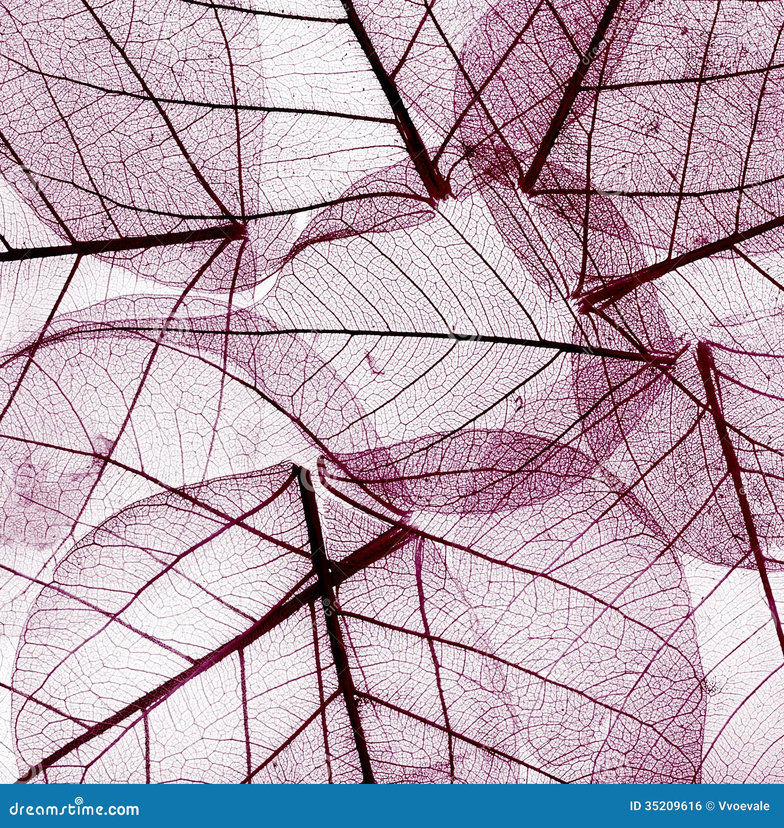 Purple Background from Dried Fall Leaves Stock Photo - Image of autumn ...