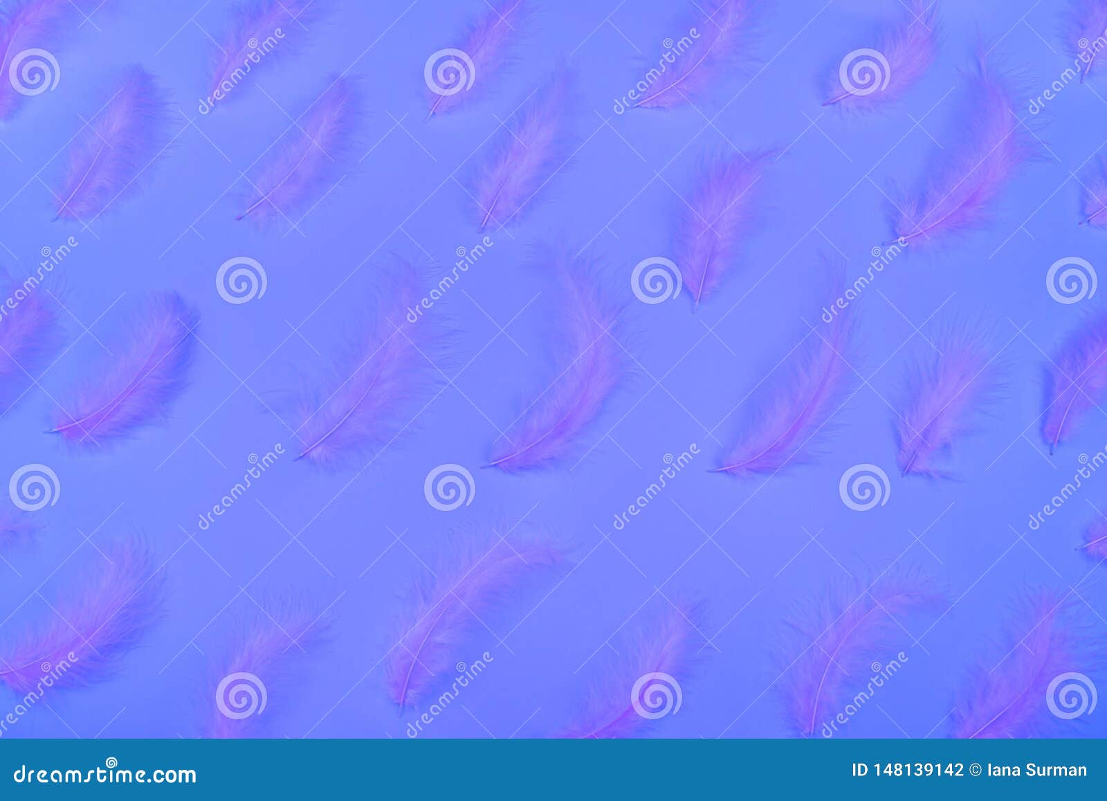 Purple Background with Purple Feathers. Trendy is Design Stock Photo ...