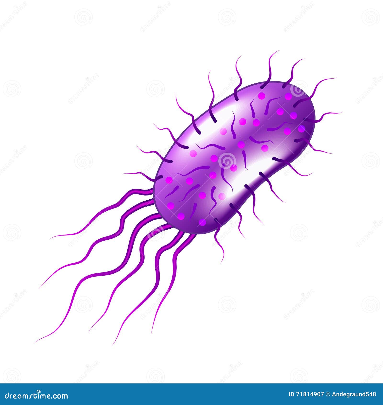 Purple Bacteria on White Vector Stock Vector - Illustration of bacillus ...
