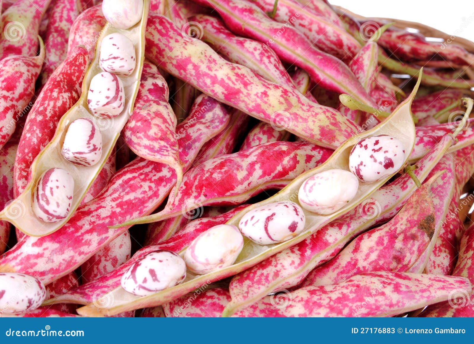 Purple beans and pods stock image. Image of fruit, vegetarian - 27176883