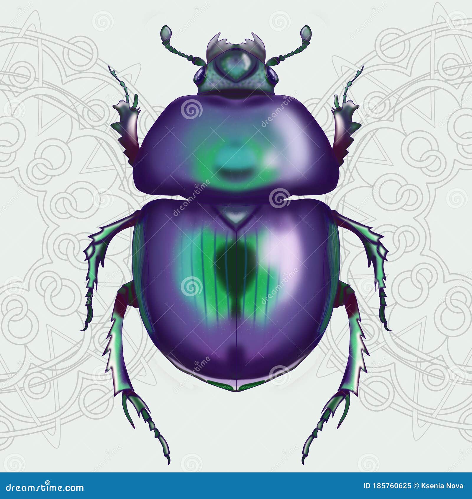 Purple Beetle Insect