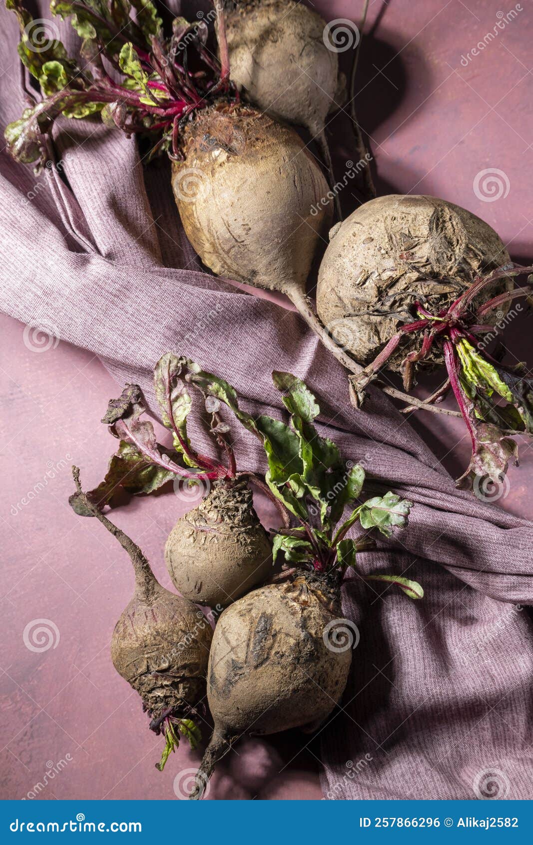 Purple Beetroot at the Table Stock Photo - Image of beet, green: 257866296