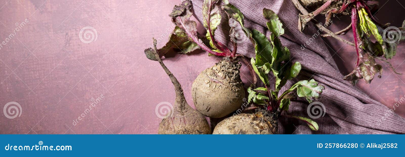 Purple Beetroot at the Table Stock Photo - Image of leaves, diet: 257866280